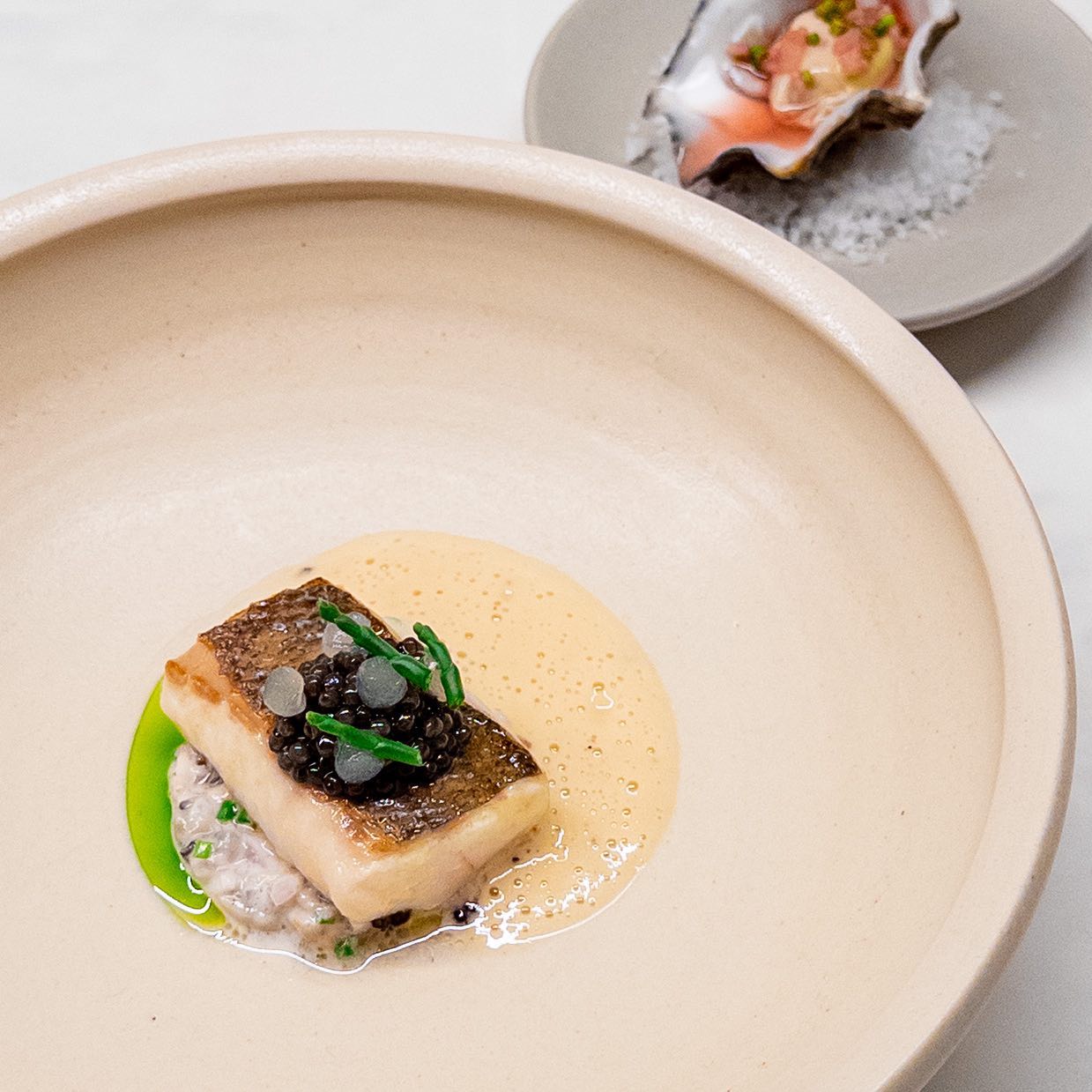 Biefstuk tataki met ponzusaus en radijs – Harold Kookt