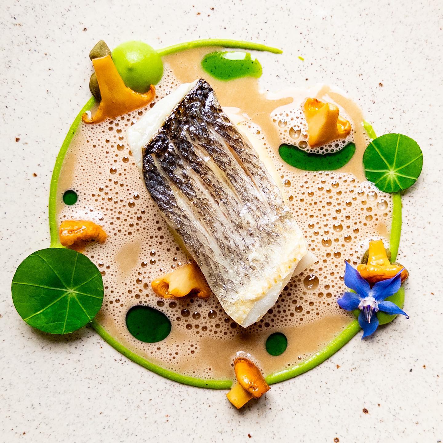 Kabeljauw met prosecco beurre blanc en venkel – Harold Kookt