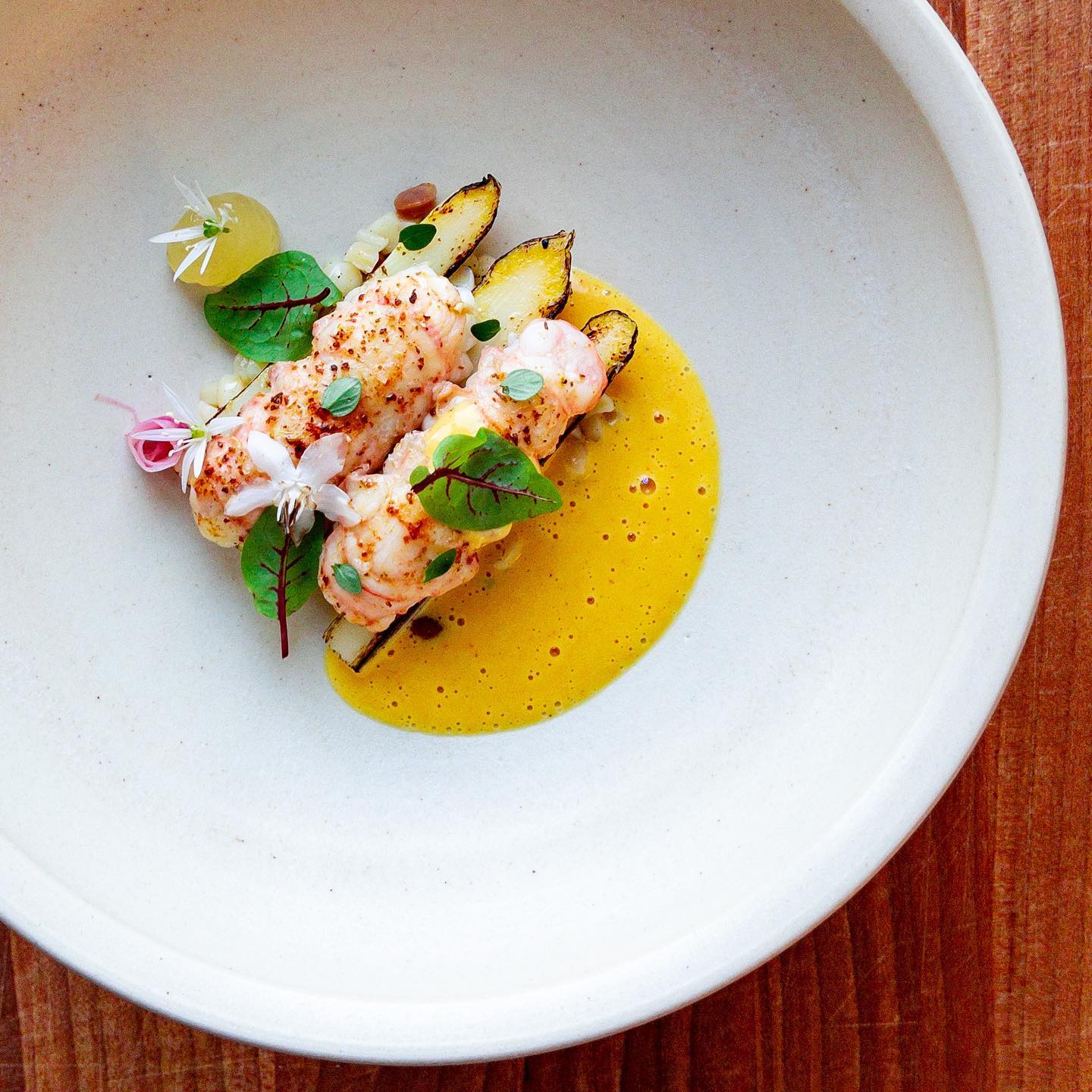 Langoustine – Harold Kookt